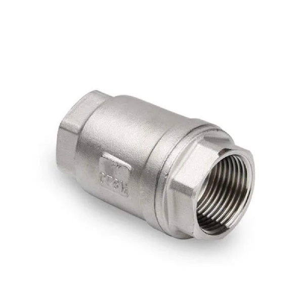 Stainless Steel Spring Check Valve - Colglo
