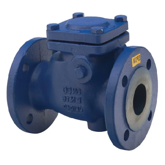 Cast Iron Swing Check Valve - Flanged PN16 - EPDM - Colglo